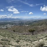 Big Beacon Mount Wire Trail, Utah - 1,579 Reviews, Map | AllTrails