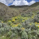 Big Beacon Mount Wire Trail, Utah - 1,579 Reviews, Map | AllTrails