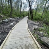 Bull Hill Short Loop, New York - 4,838 Reviews, Map | AllTrails