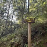 Cataract Falls Trail, California - 3,590 Reviews, Map | AllTrails