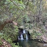 Cataract Falls Trail, California - 3,690 Reviews, Map | AllTrails