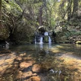 Cataract Falls Trail, California - 3,690 Reviews, Map | AllTrails