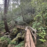 Cataract Falls Trail, California - 3,690 Reviews, Map | AllTrails