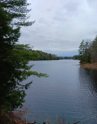 Best River Trails in Oakland | AllTrails