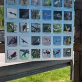 Leaser Lake Trail, Pennsylvania - 666 Reviews, Map | AllTrails