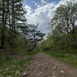 Maple Canyon to Whiting Campground, Utah - 607 Reviews, Map | AllTrails