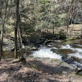Hackers Falls and Cliff Trail Loop, Pennsylvania - 1,827 Reviews, Map ...