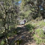 Angel Falls via Willow Creek Trail, California - 2,227 Reviews, Map ...