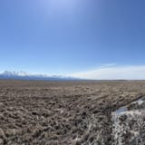 Scout Ridge Trail, Alaska - 280 Reviews, Map | AllTrails