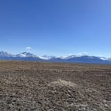 Scout Ridge Trail, Alaska - 280 Reviews, Map | AllTrails