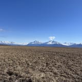 Scout Ridge Trail, Alaska - 280 Reviews, Map | AllTrails