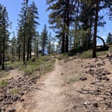 Monkey Rock Trail, Nevada - 5,473 Reviews, Map | AllTrails