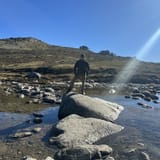 Main Range Walk, New South Wales, Australia - 903 Reviews, Map | AllTrails