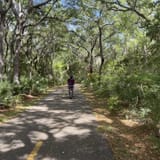 Big Talbot Island Timucuan Trail, Florida - 202 Reviews, Map | AllTrails