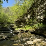Raven Run Red Trail, Kentucky - 1,724 Reviews, Map | AllTrails