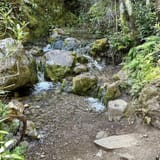Waterfalls of Mount Diablo Loop, California - 2,348 Reviews, Map ...