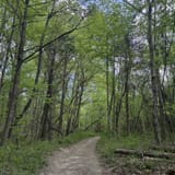 Cincinnati Nature Center Loop, Ohio - 1,403 Reviews, Map | AllTrails