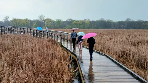 Best River Trails in Point Pelee National Park | AllTrails