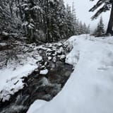 Ira Spring Memorial Trail, Washington - 2,014 Reviews, Map | AllTrails