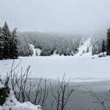 Ira Spring Memorial Trail, Washington - 2,021 Reviews, Map | AllTrails