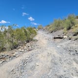 Dreamy Draw Loop Trail, Arizona - 1,119 Reviews, Map | AllTrails