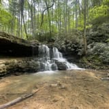 Laurel Run Trail, Tennessee - 715 Reviews, Map | AllTrails