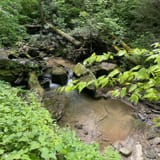 Laurel Run Trail, Tennessee - 715 Reviews, Map | AllTrails
