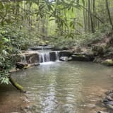 Laurel Run Trail, Tennessee - 715 Reviews, Map | AllTrails