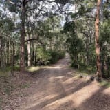 Mount Coot-tha Loop via Powerful Owl Trail, Queensland, Australia - 748 ...