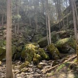 Mount Toby Trail, Massachusetts - 1,075 Reviews, Map | AllTrails