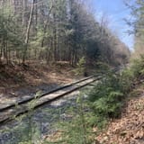 Mount Toby Trail, Massachusetts - 1,075 Reviews, Map | AllTrails