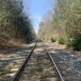 Mount Toby Trail, Massachusetts - 1,075 Reviews, Map | AllTrails