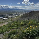 Big Beacon Mount Wire Trail, Utah - 1,579 Reviews, Map | AllTrails