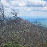 The Pinnacle and Flat Top Mountain, Virginia - 490 Reviews, Map | AllTrails