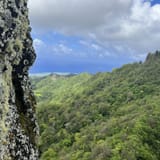Cross Island Track and The Needle, Rarotonga, Cook Islands - 191 ...