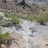 Dreamy Draw Loop Trail, Arizona - 1,119 Reviews, Map | AllTrails