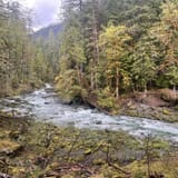 Staircase Rapids Loop, Washington - 2,471 Reviews, Map | AllTrails