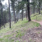 Mineral Ridge National Recreation Trail, Idaho - 3,506 Reviews, Map ...