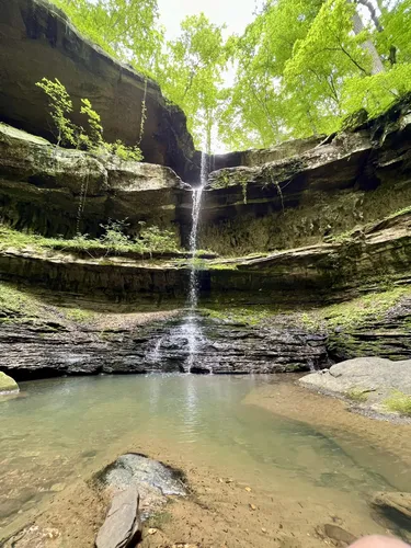 Best River Trails in Tuscumbia | AllTrails