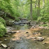 Kelly's Run Loop Trail, Pennsylvania - 3,431 Reviews, Map | AllTrails
