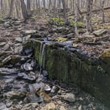 Cascade Falls Loop Trail, Massachusetts - 875 Reviews, Map | AllTrails