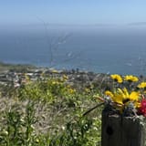 Forrestal Preserve Loop, California - 1,283 Reviews, Map | AllTrails