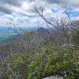 The Pinnacle and Flat Top Mountain, Virginia - 490 Reviews, Map | AllTrails