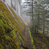 Iron Goat Trail, Washington - 1,455 Reviews, Map | AllTrails