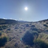Ballardini Ranch Upper and Lower Loop, Nevada - 530 Reviews, Map ...
