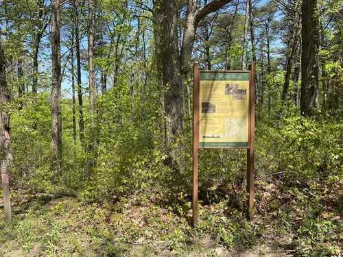 Best Waterfall Trails in Flintstone | AllTrails