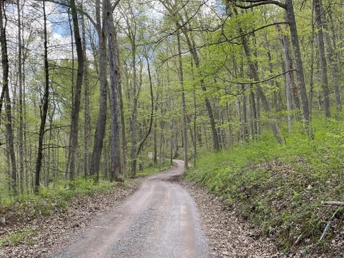 Best Waterfall Trails in Flintstone | AllTrails