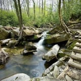 Ramsey Cascades Trail, Tennessee - 2,297 Reviews, Map | AllTrails