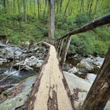 Ramsey Cascades Trail, Tennessee - 2,297 Reviews, Map | AllTrails