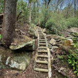 Ramsey Cascades Trail, Tennessee - 2,291 Reviews, Map | AllTrails